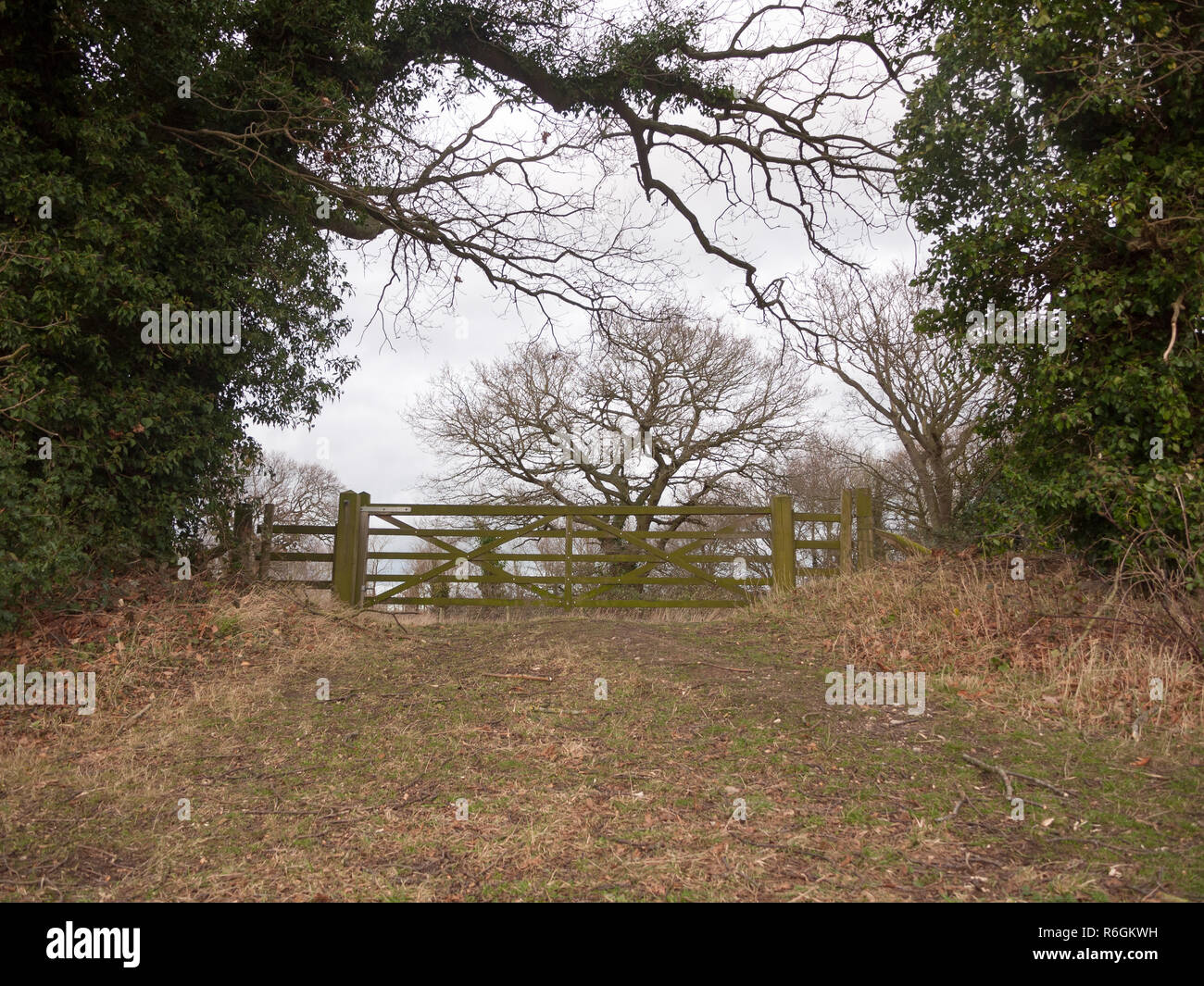 wooden gate fence tree country private field farm Stock Photo - Alamy