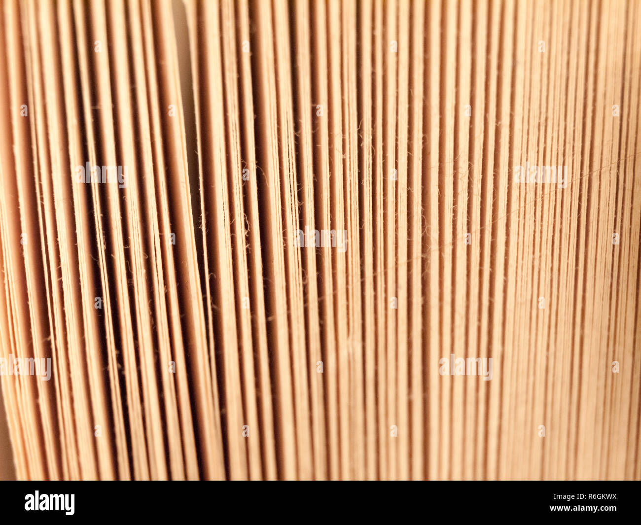 Book Pages Side Texture