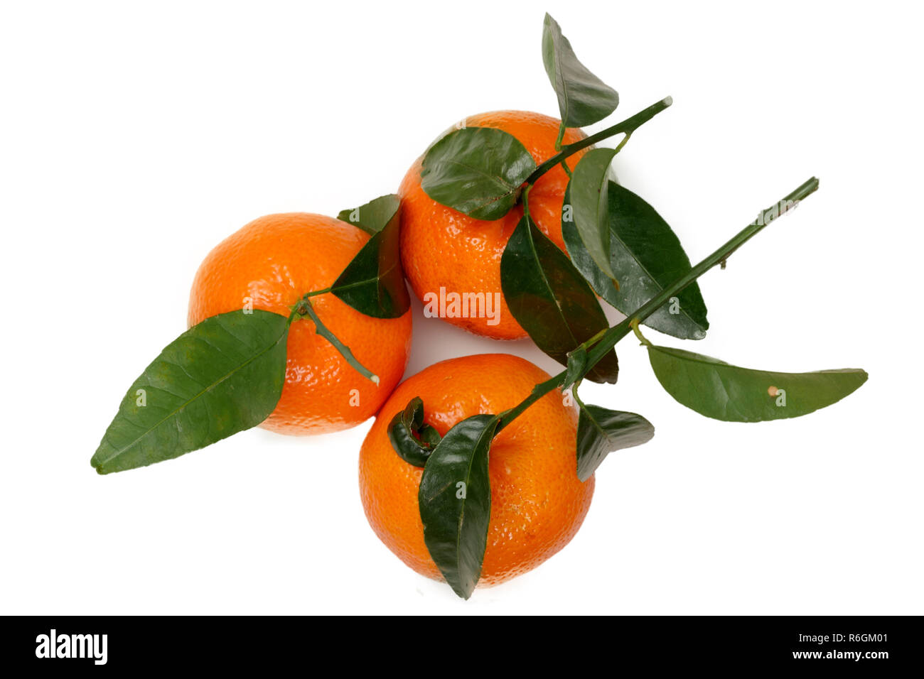 three tangerines isolated on white background Stock Photo - Alamy