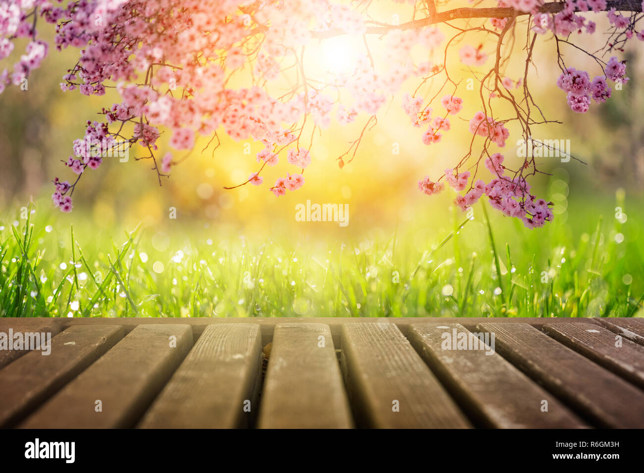 Spring flowers and wooden deck in morning sunlight background Stock ...
