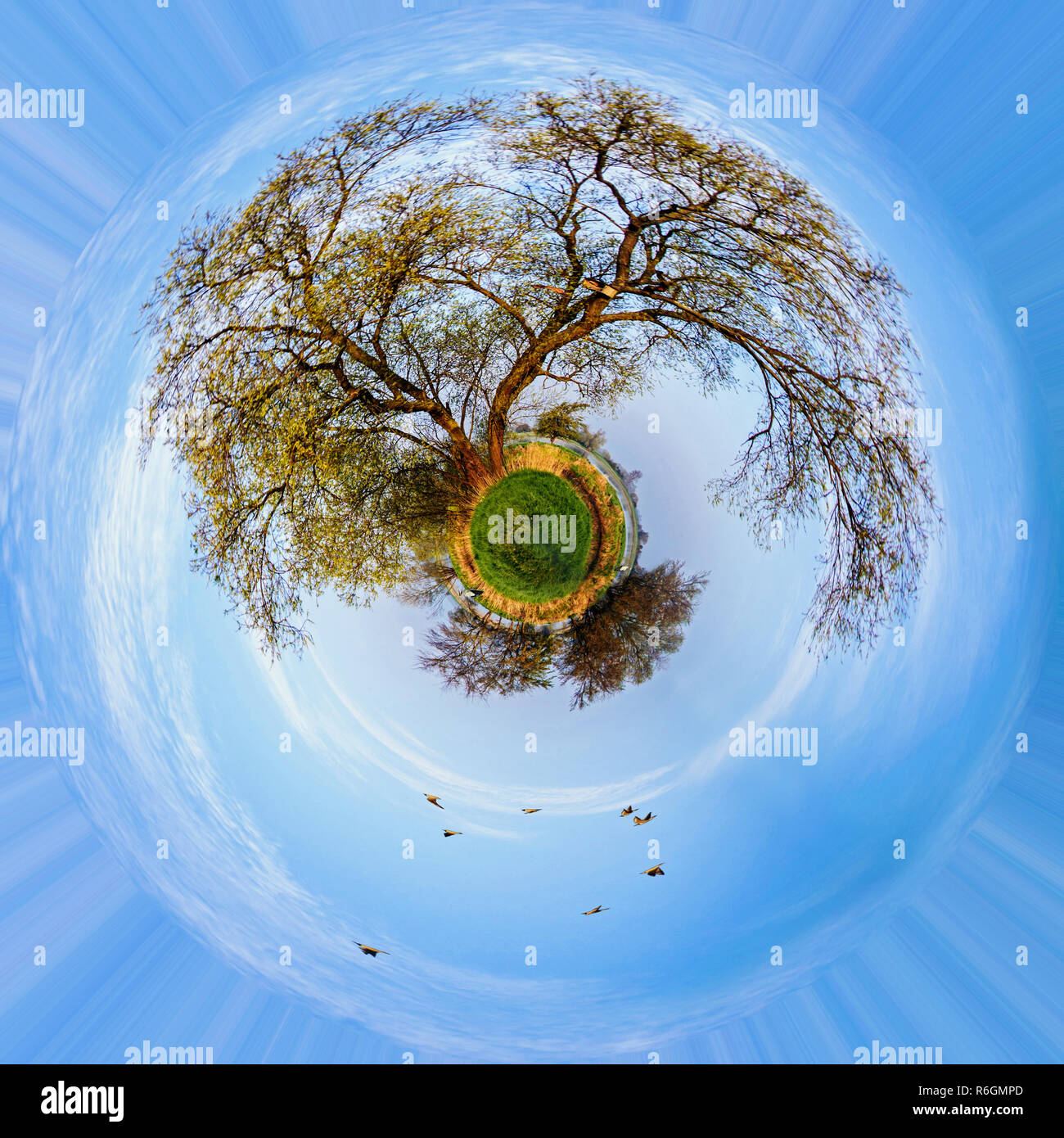 Kleinplanet hi-res stock photography and images - Alamy