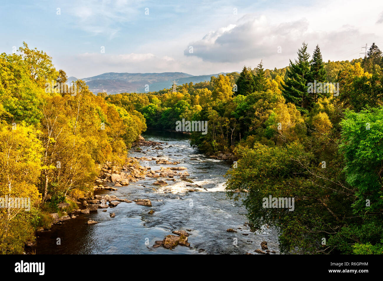 River tay scotland bridge trees hi-res stock photography and images - Alamy