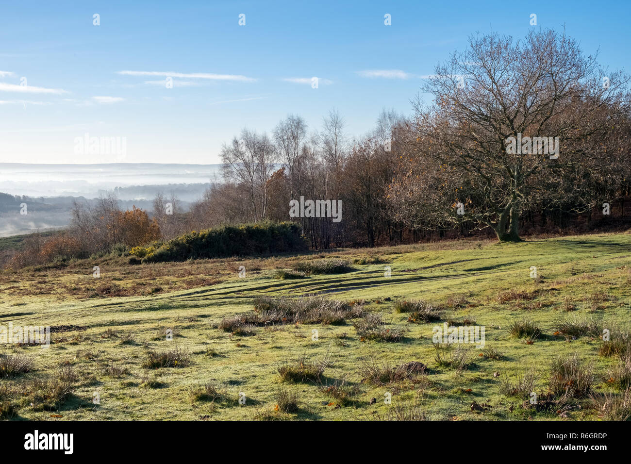 Ashdown west hi-res stock photography and images - Alamy