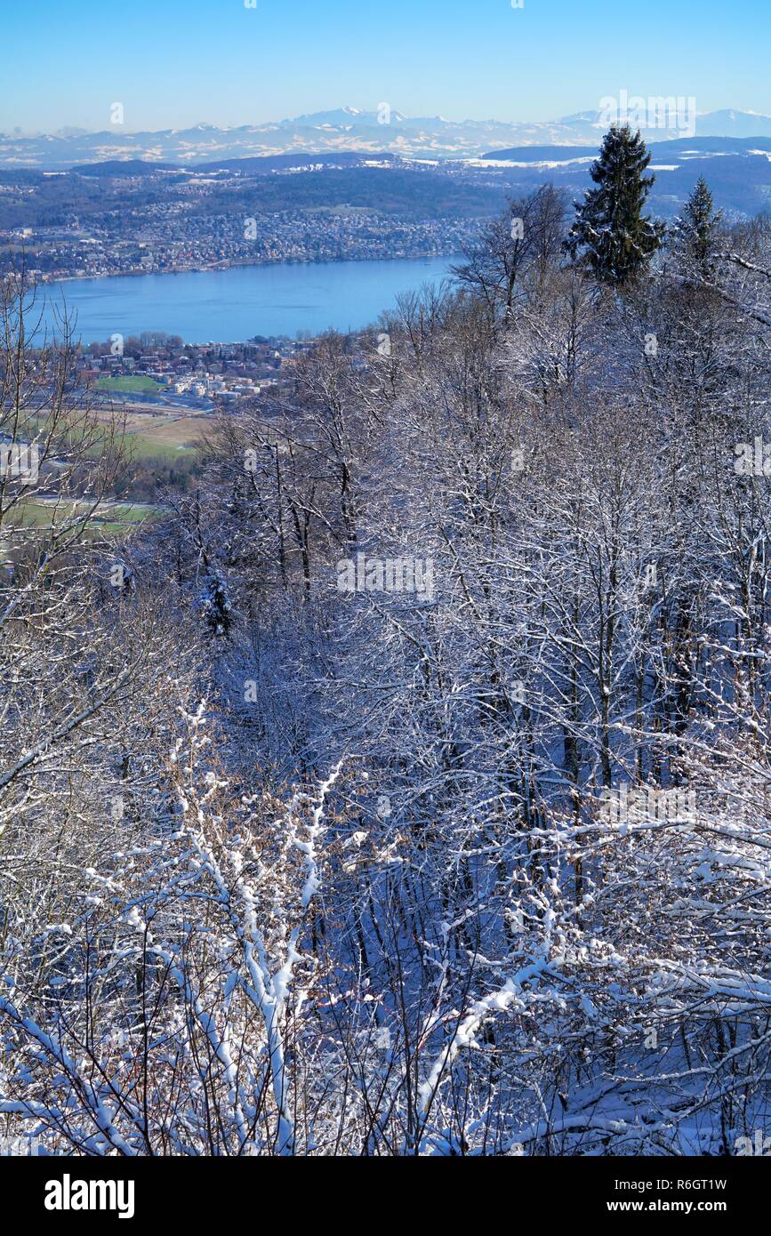 Hausberg zürich hi-res stock photography and images - Alamy