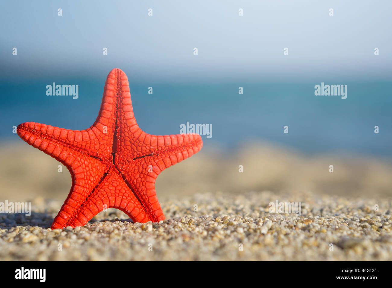 Red starfish pinned on sand at the beach. Blue sea on background Stock ...