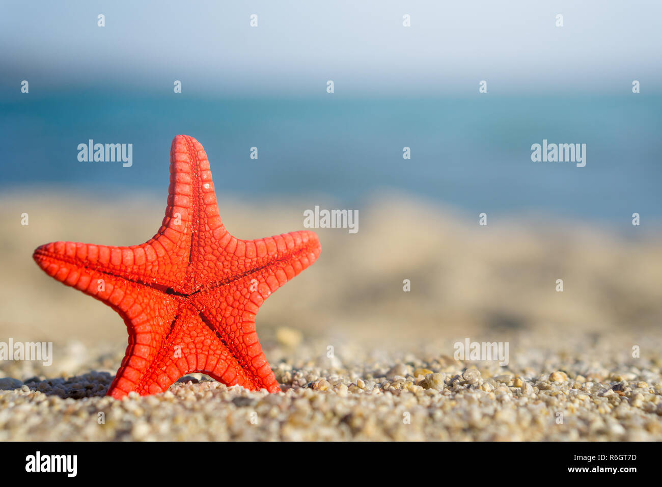 Red starfish pinned on sand at the beach. Blue sea on background Stock ...
