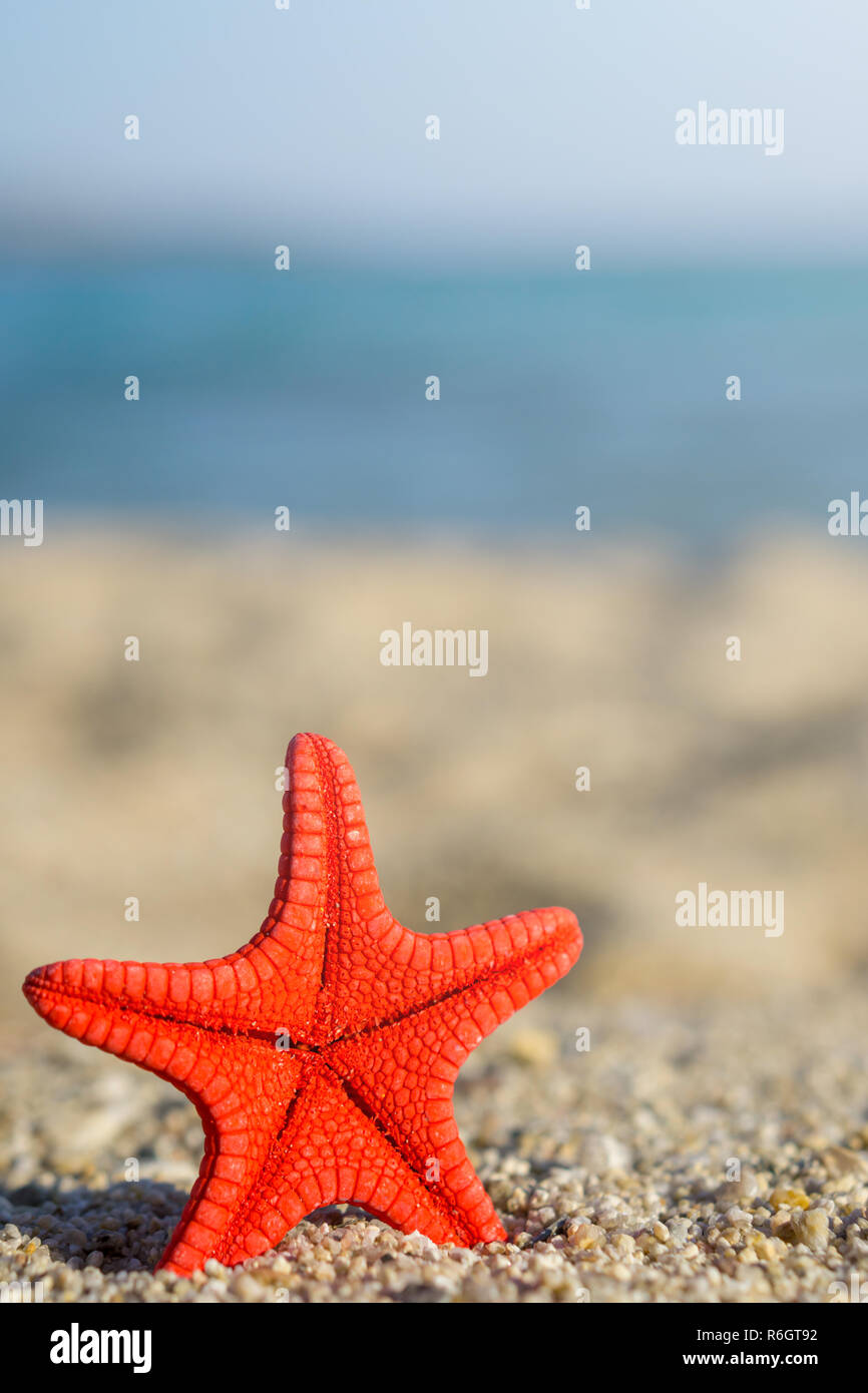 Red starfish pinned on sand at the beach. Blue sea on background Stock ...