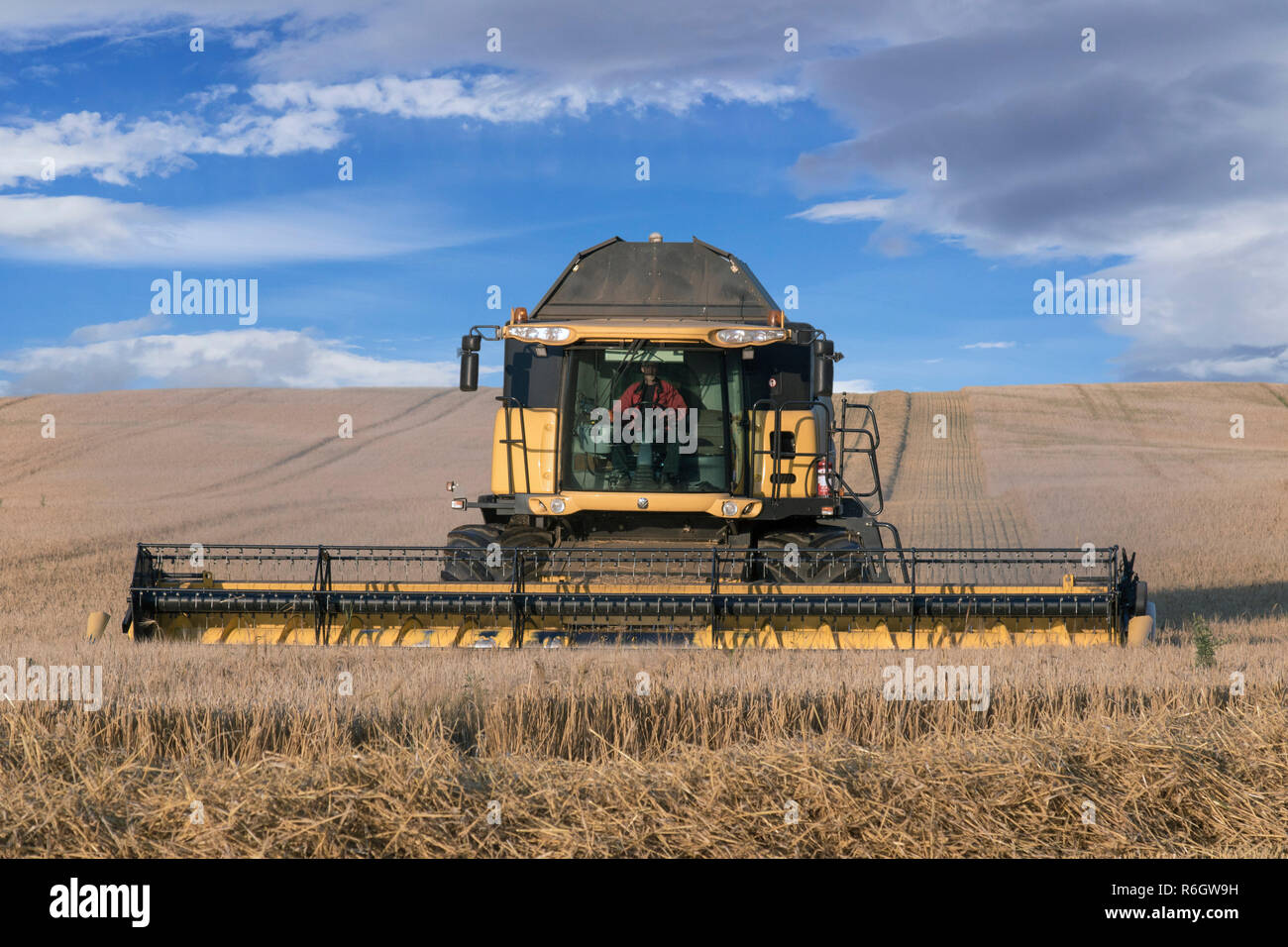 Grain harvester combine hi-res stock photography and images - Alamy