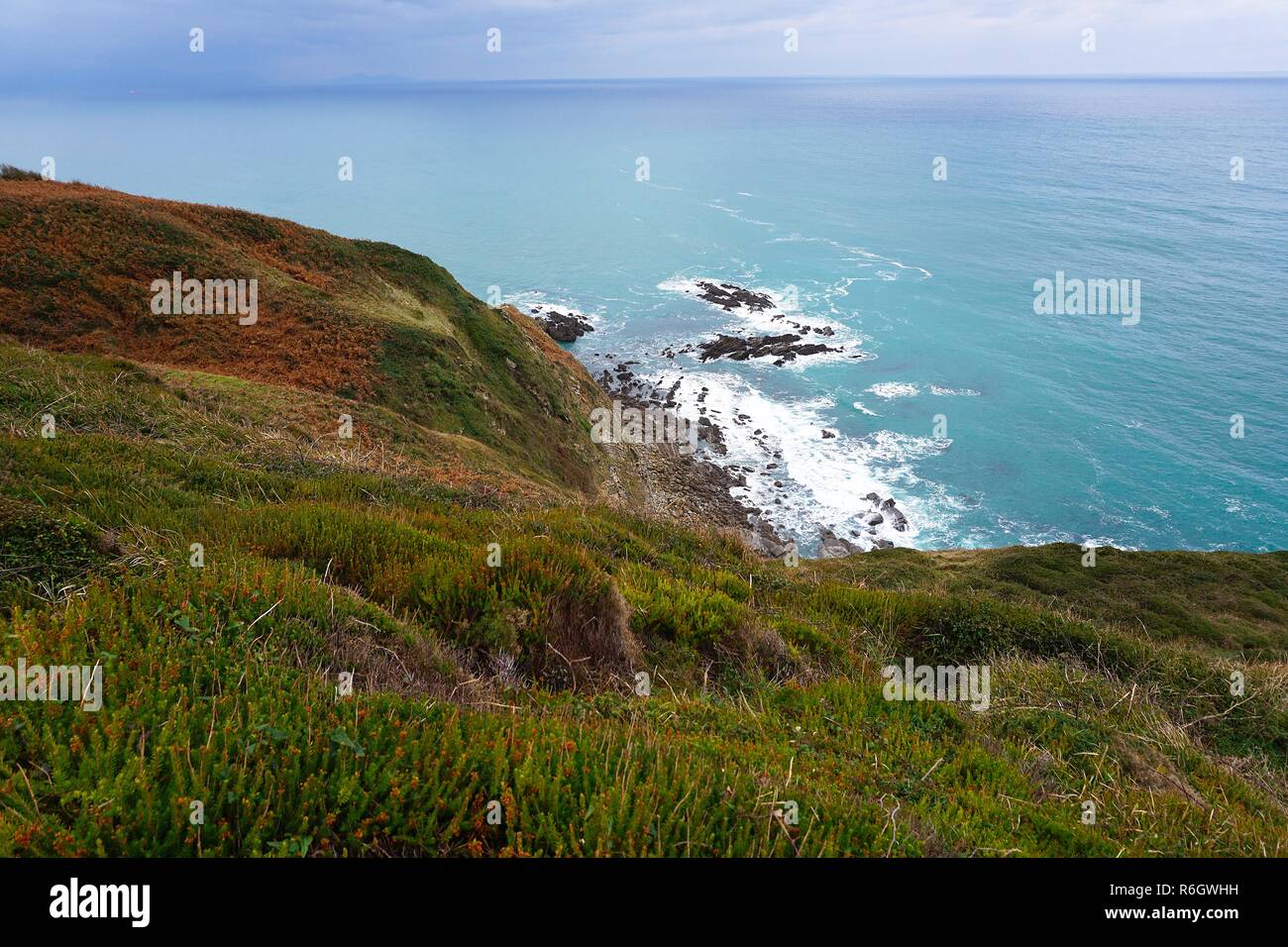 cliff in the coast in the nature Stock Photo - Alamy