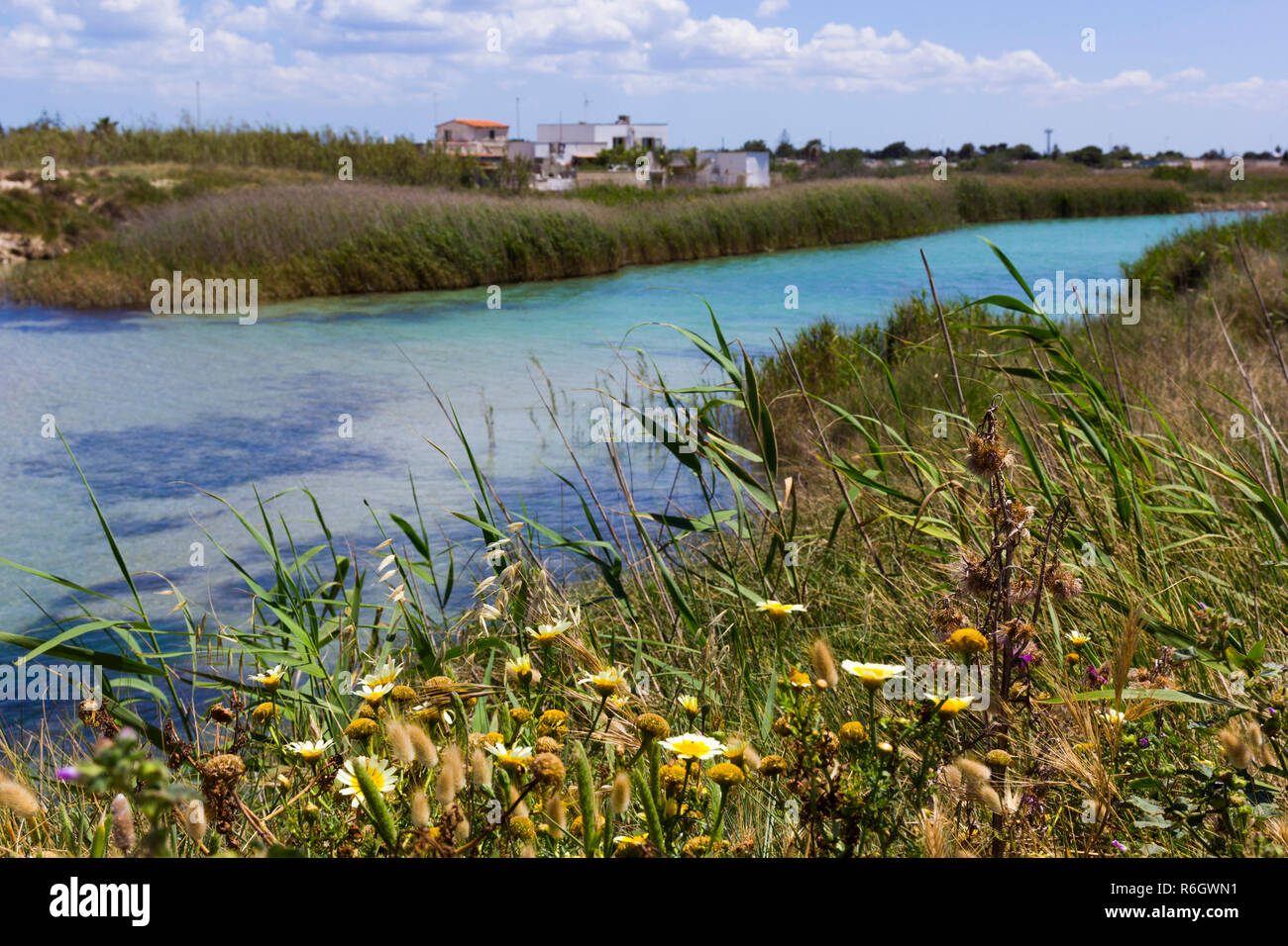 Torre chianca hi-res stock photography and images - Alamy