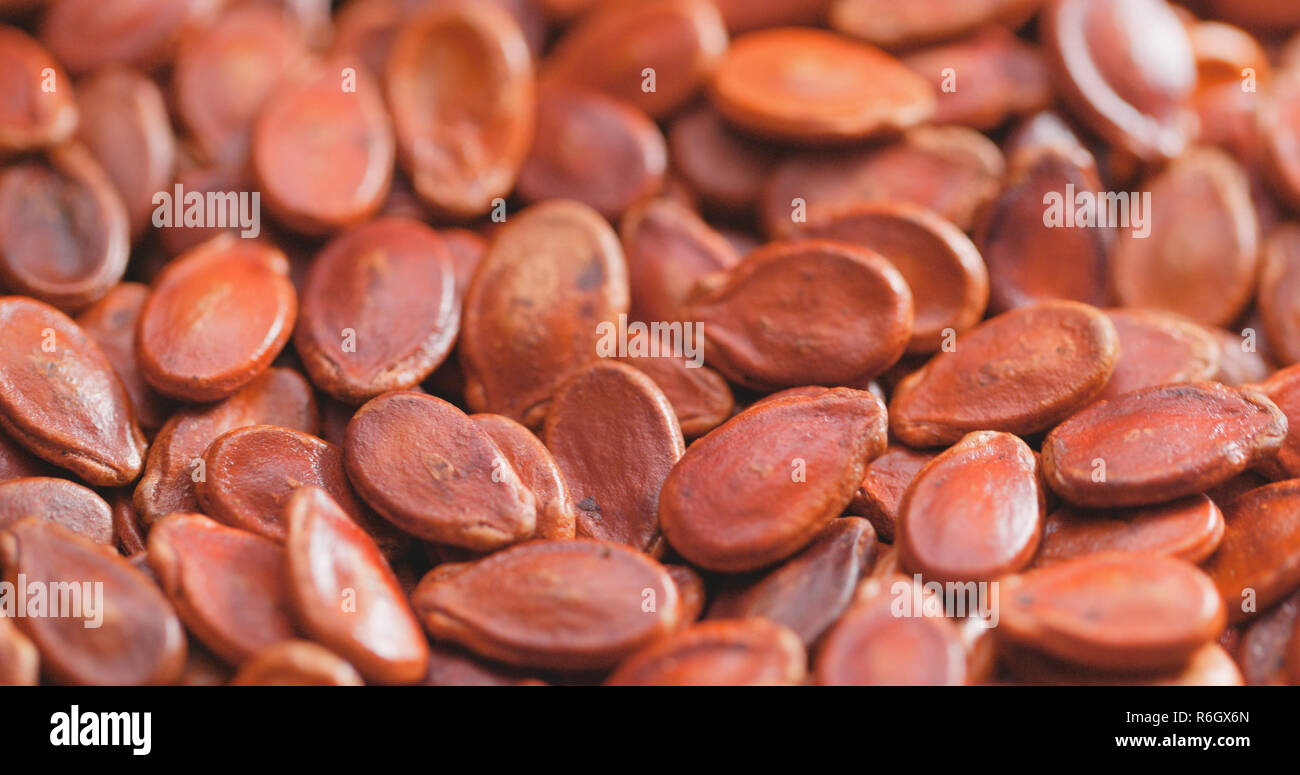 Dry red watermelon seed Stock Photo - Alamy