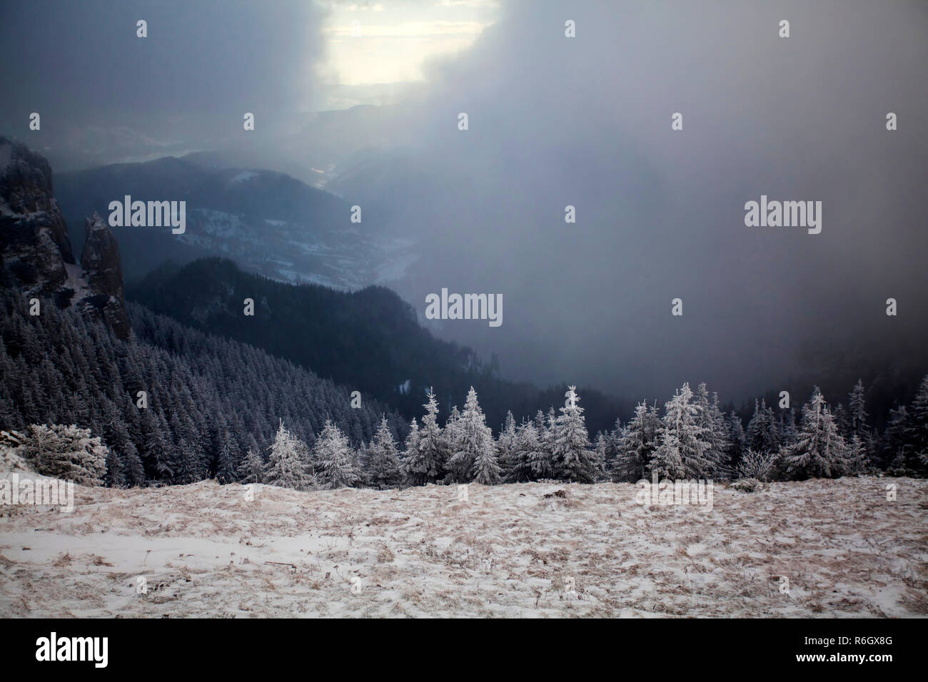 Christmas and New Year background with winter trees in mountains ...