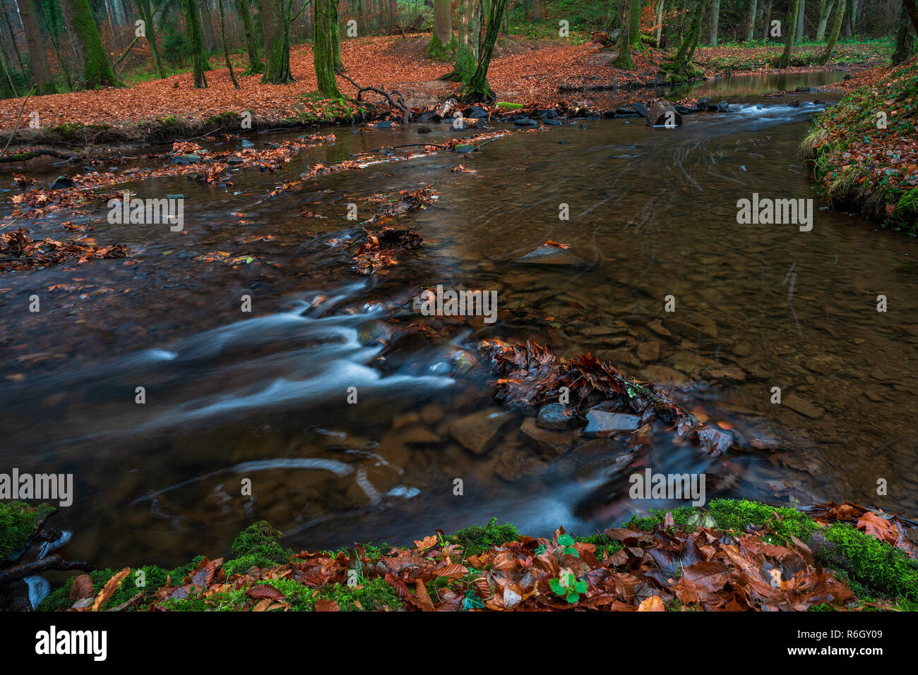 River in the woods in autumn Stock Photo - Alamy