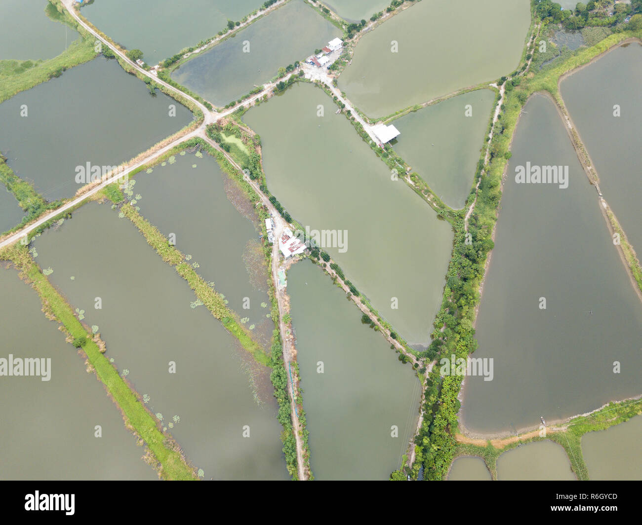Top view fish hatchery hi-res stock photography and images - Alamy