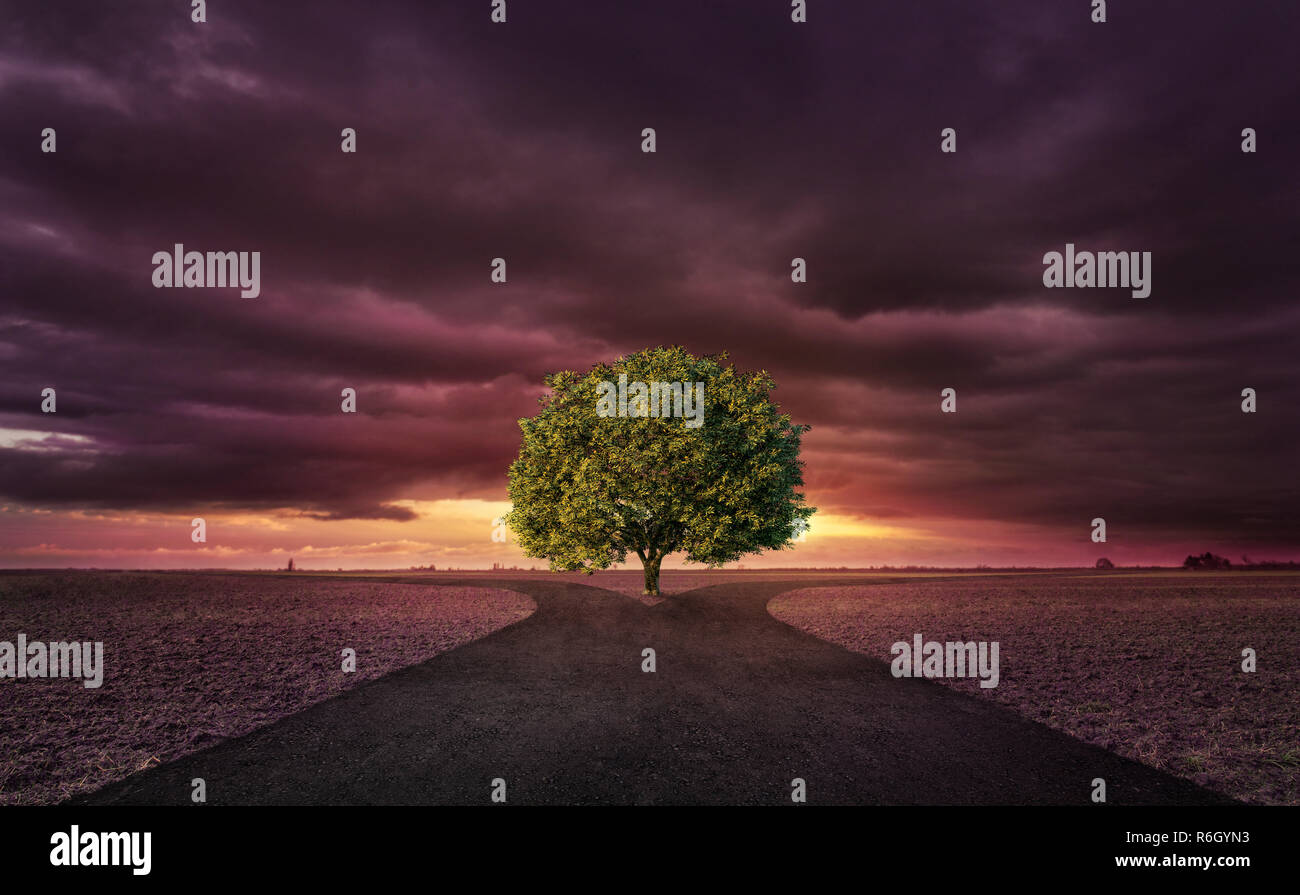 Choose an option hi-res stock photography and images - Alamy
