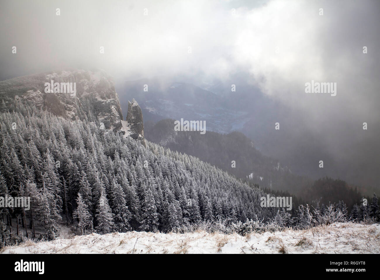 Christmas and New Year background with winter trees in mountains ...