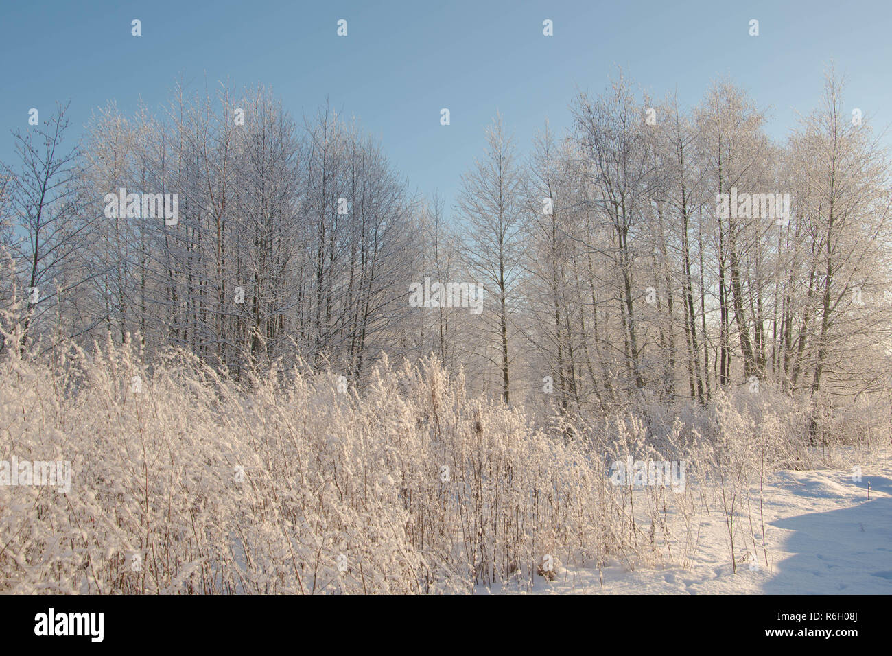 Extremely cold weather in hi-res stock photography and images - Alamy