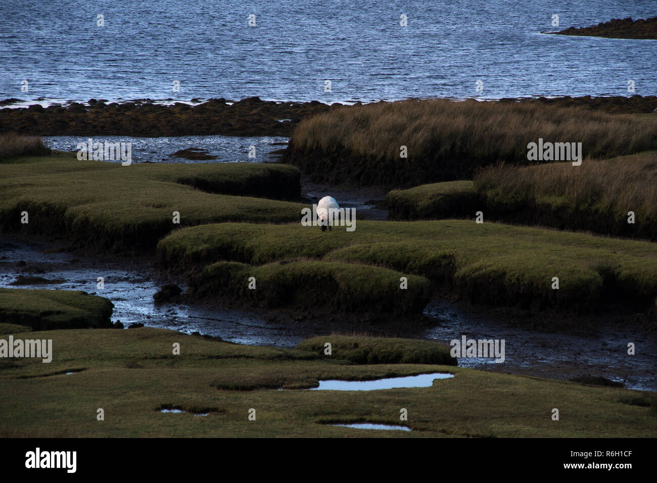 landscape in county mayo Stock Photo - Alamy
