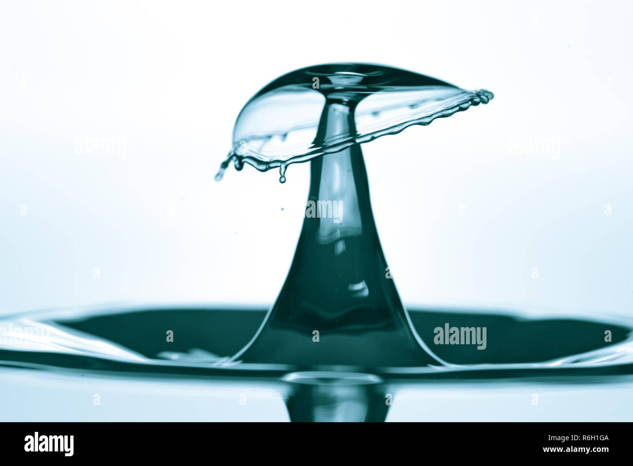 splash of the falling drops of water, collision drops Stock Photo - Alamy