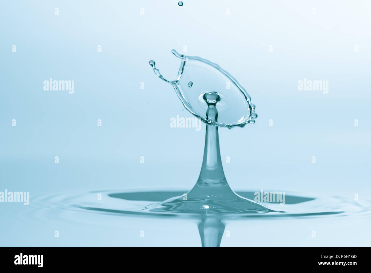 splash of the falling drops of water, collision drops Stock Photo - Alamy