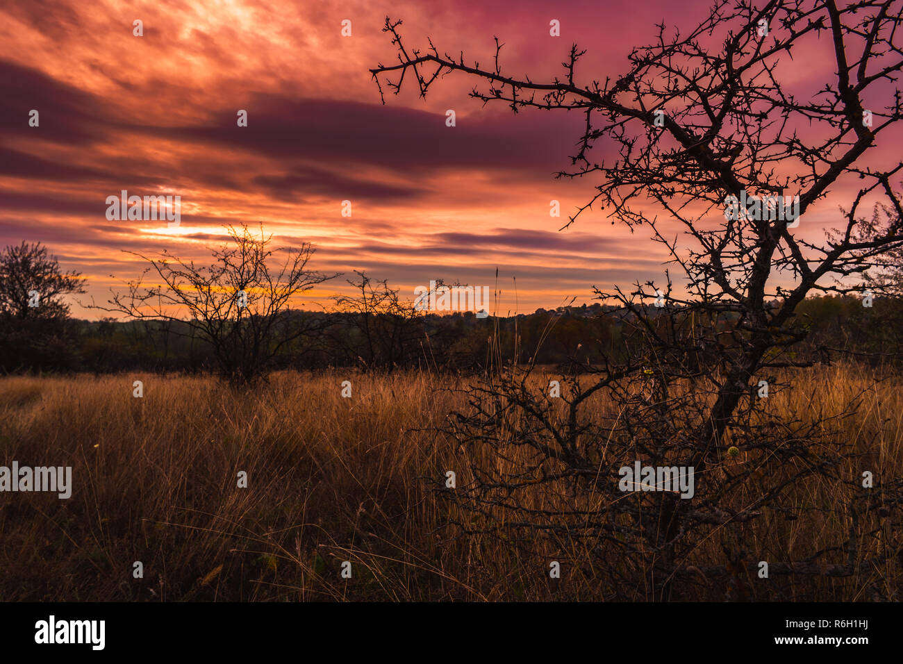 Barren grass hi-res stock photography and images - Alamy