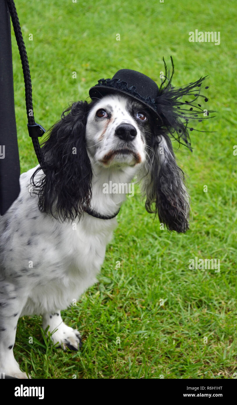 Whitby gothic weekend hi-res stock photography and images - Alamy