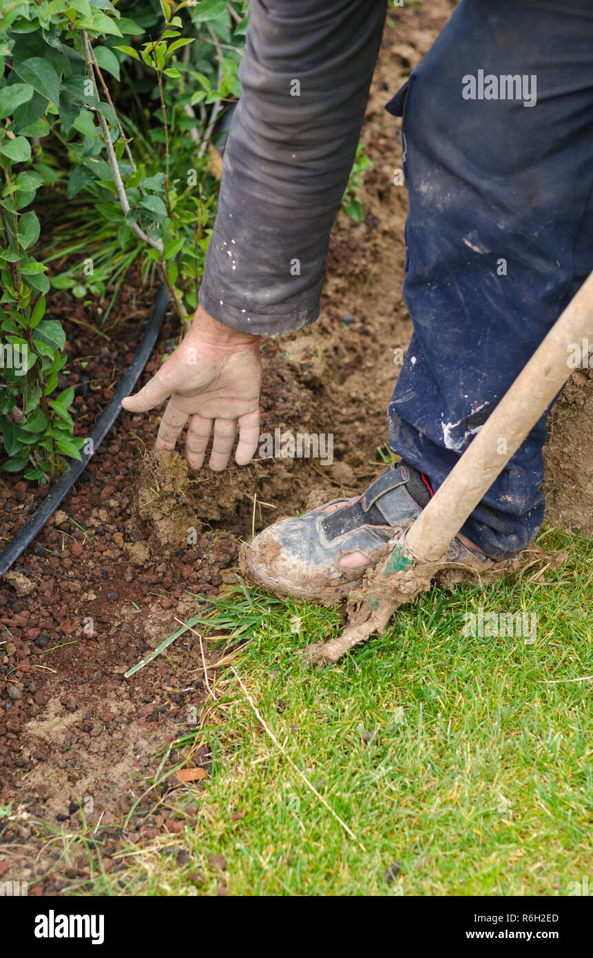 Man digs a hole to plant a tree Stock Photo - Alamy