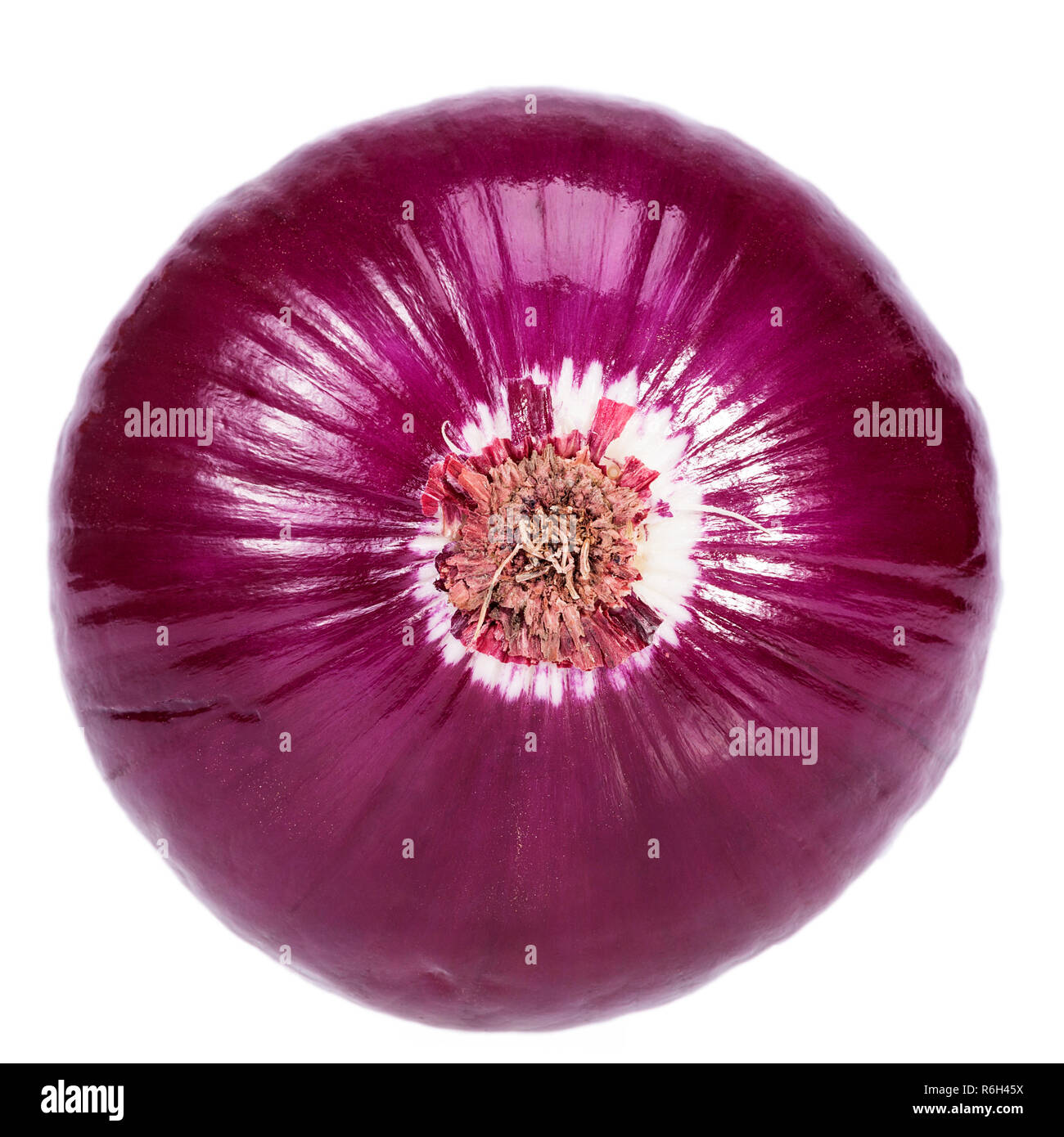 Single red onion isolated on white background Stock Photo - Alamy