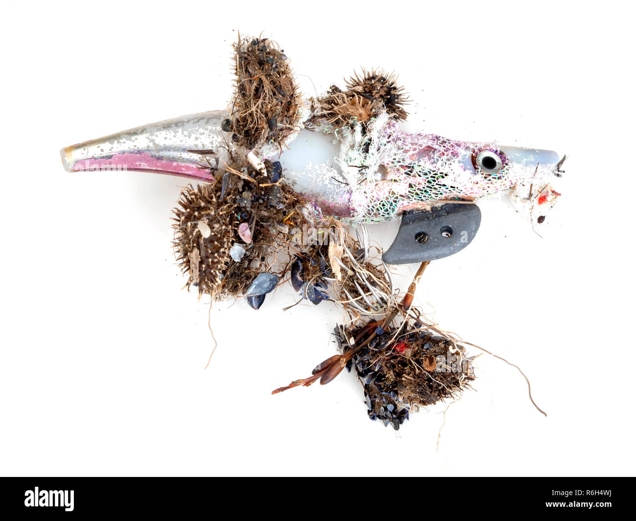 Plastic pollution fish hi-res stock photography and images - Alamy