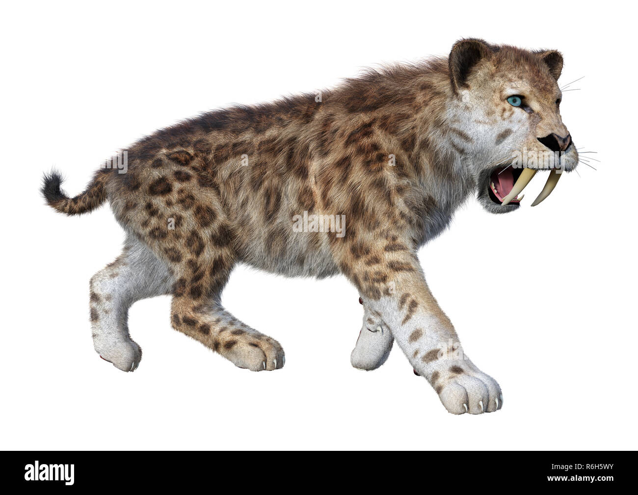 Sabertoothed Tiger High Resolution Stock Photography and Images - Alamy
