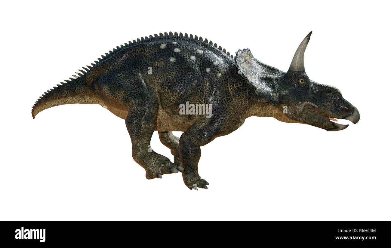 3D Rendering Dinosaur Diceratops on White Stock Photo - Alamy