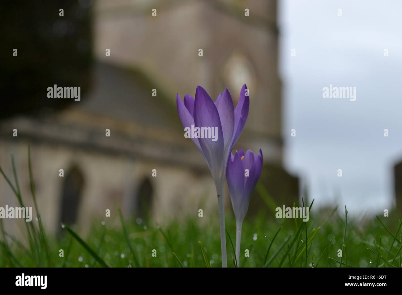 New england church spring hi-res stock photography and images - Alamy