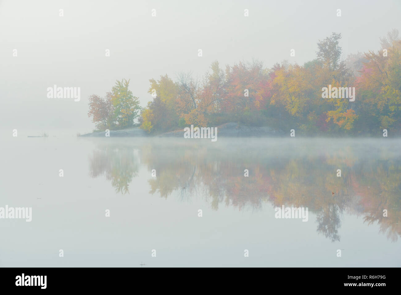 Vermilion river whitefish ontario hi-res stock photography and images ...