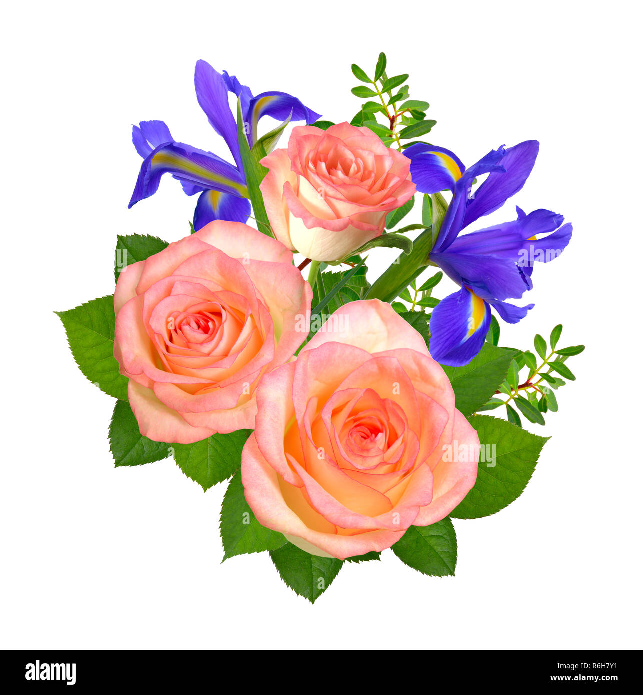 Composition with pink roses and blue iris. Isolated on white background ...