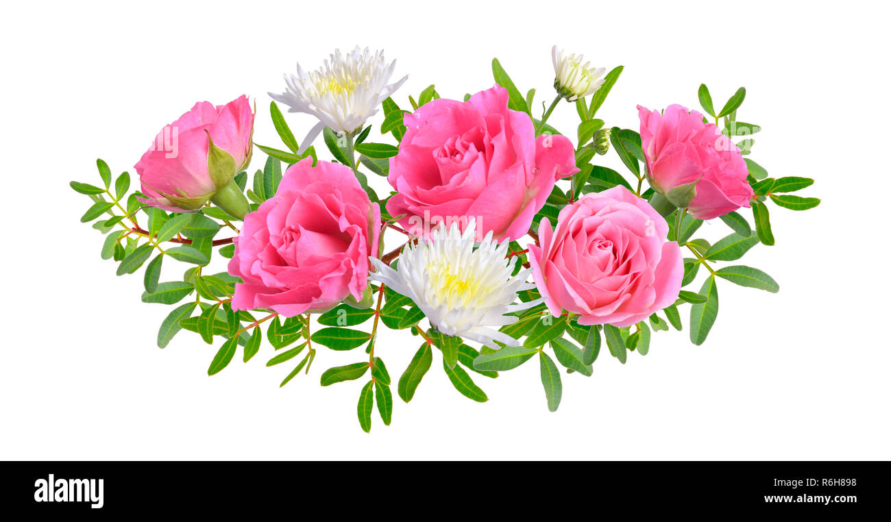 Composition with Pink rose with chrysanthemum. Isolated on white ...
