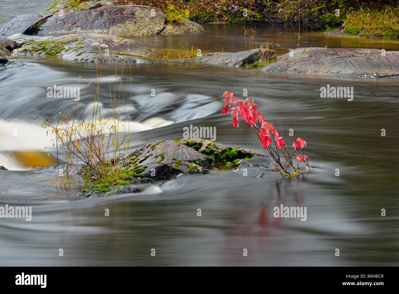 Waldie township hi-res stock photography and images - Alamy