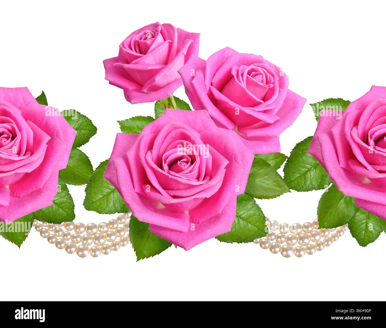 Seamless border with Pink roses and pearls. Isolated on white ...