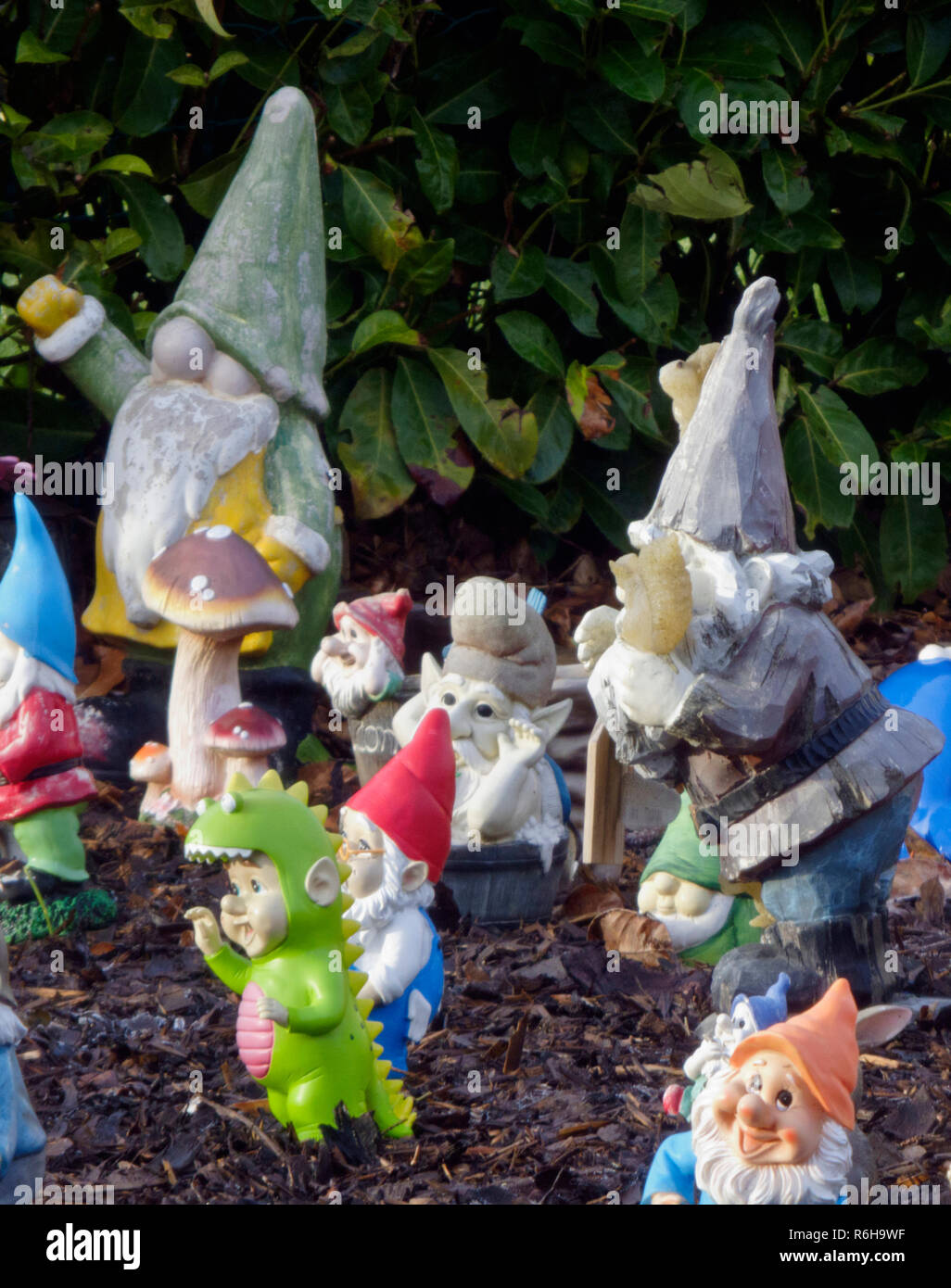 Collection of Garden Gnomes Statues, UK Stock Photo - Alamy