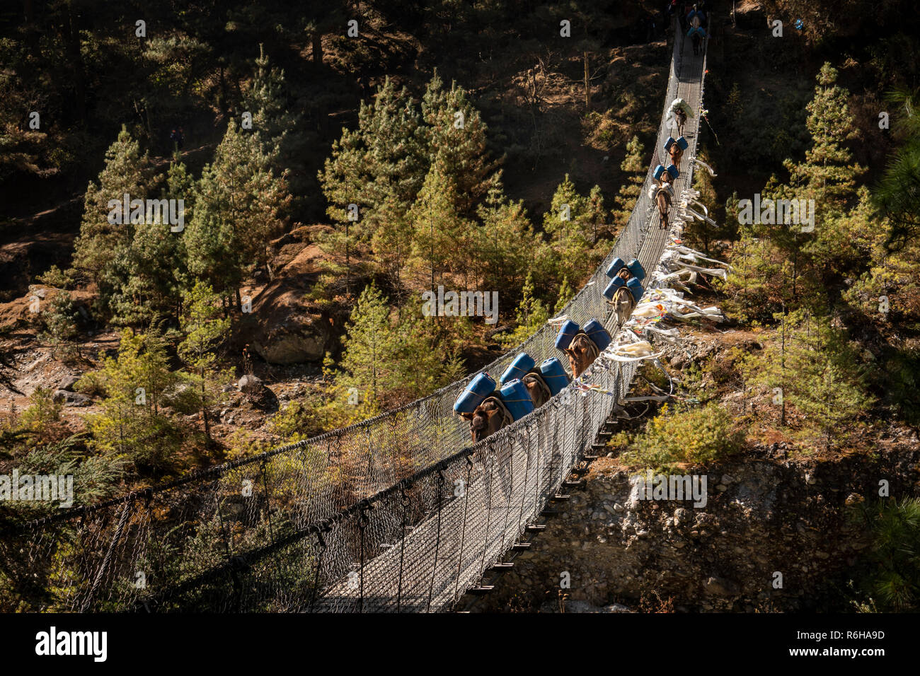 Nepal, Jorsale (Thumbug), mule train crossing suspension bridge to ...
