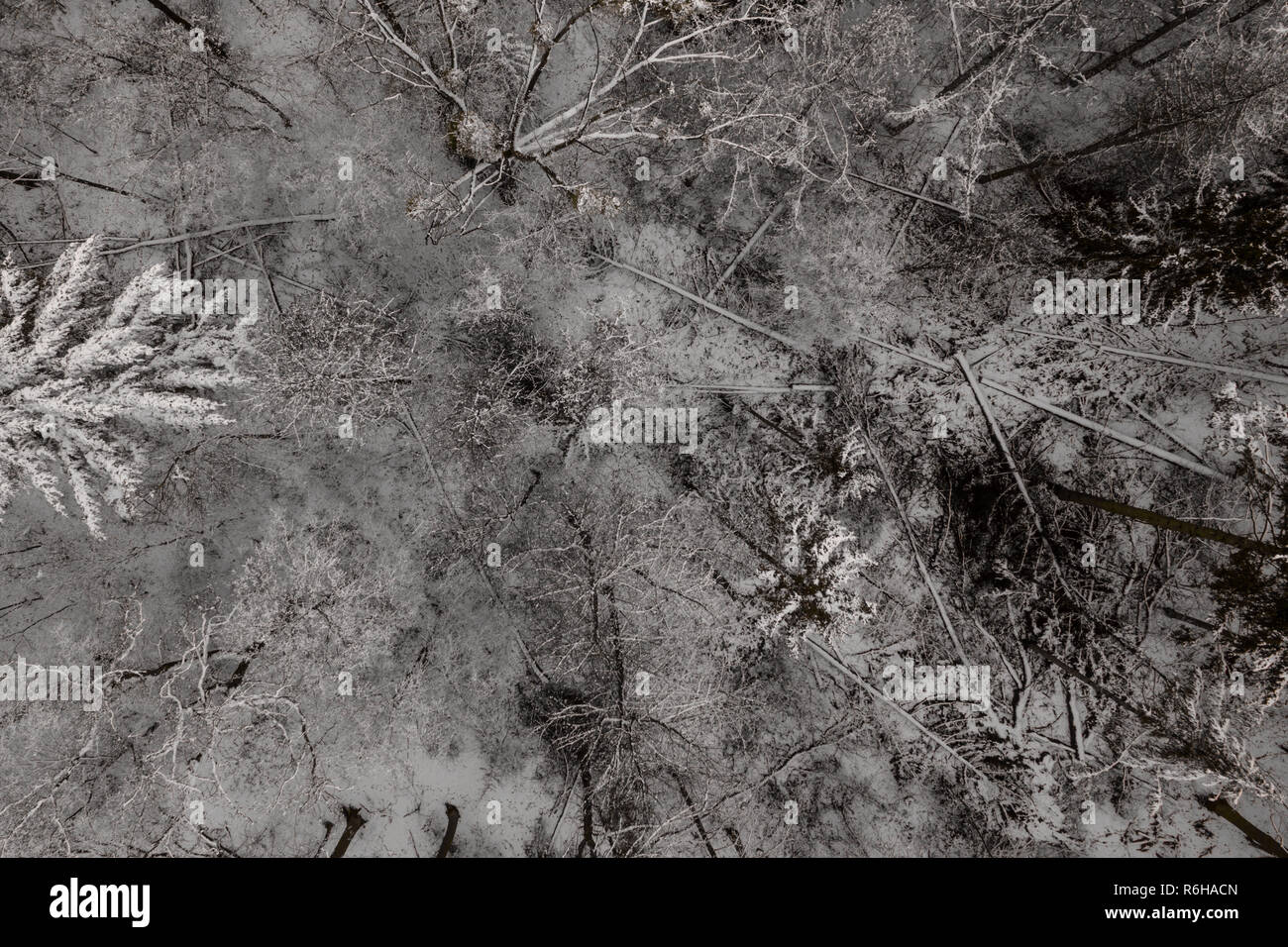 winter landscape from a bird's eye view Stock Photo - Alamy