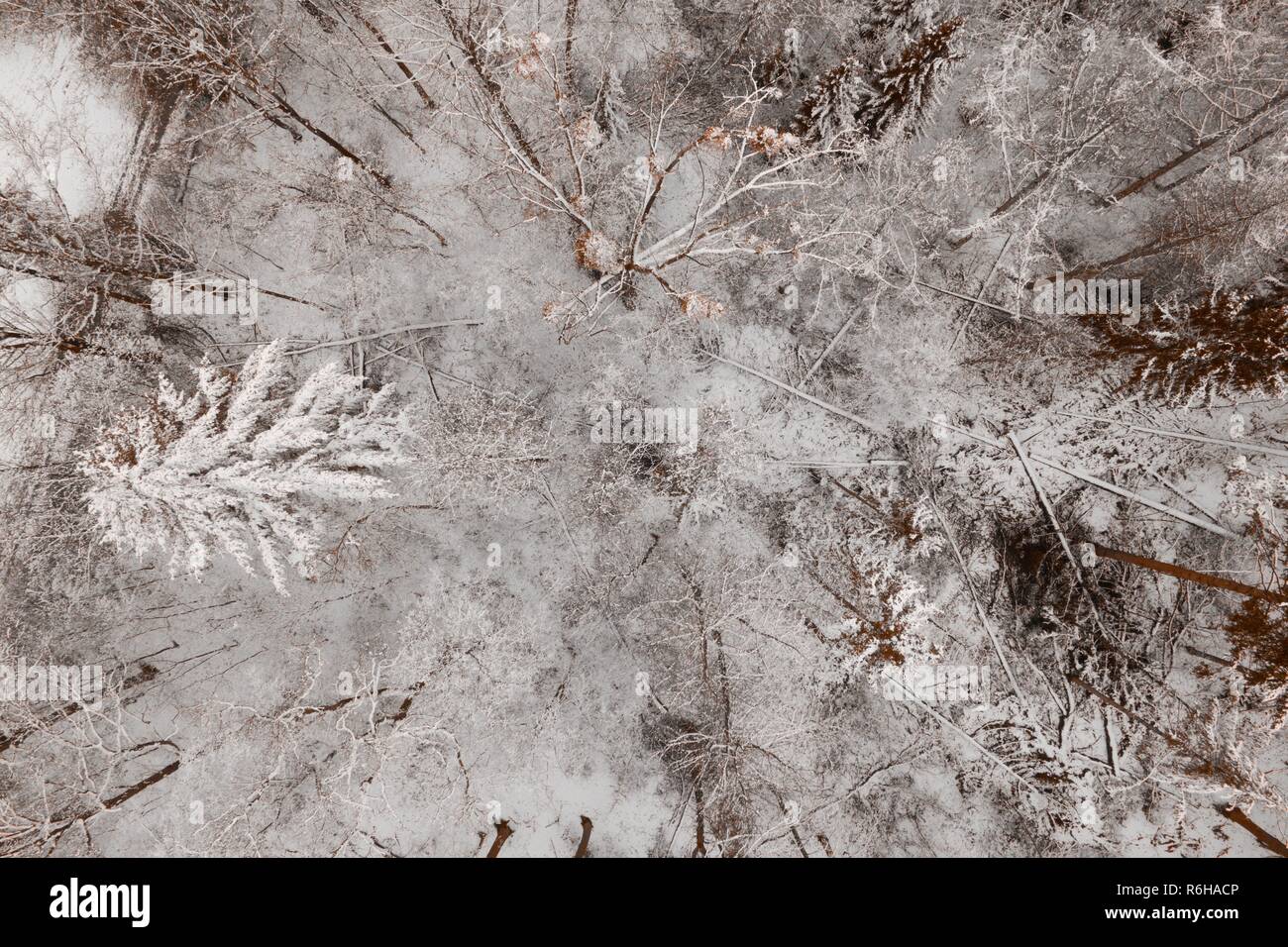 winter landscape from a bird's eye view Stock Photo - Alamy
