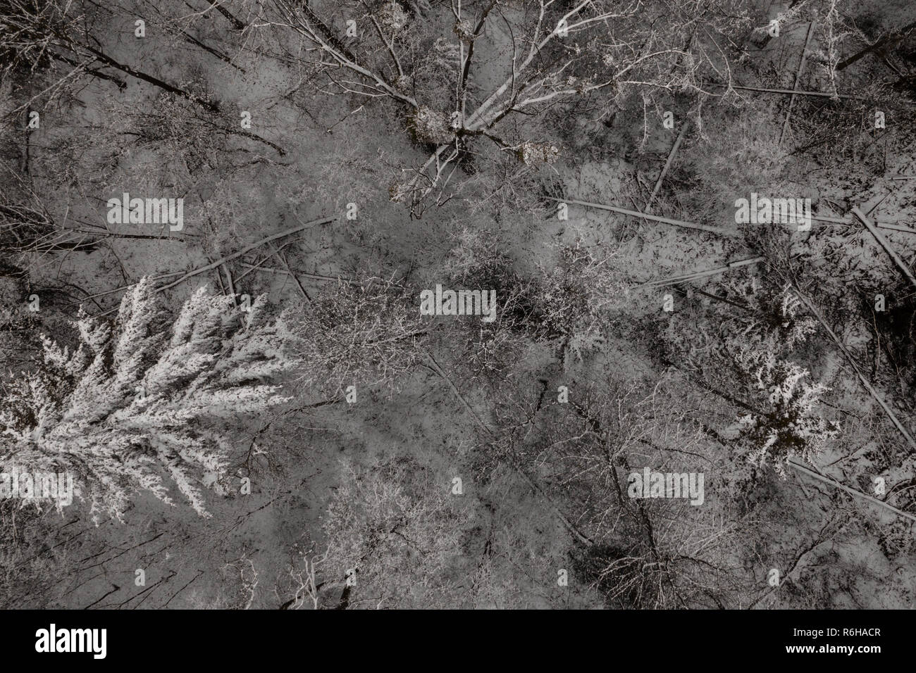 winter landscape from a bird's eye view Stock Photo - Alamy