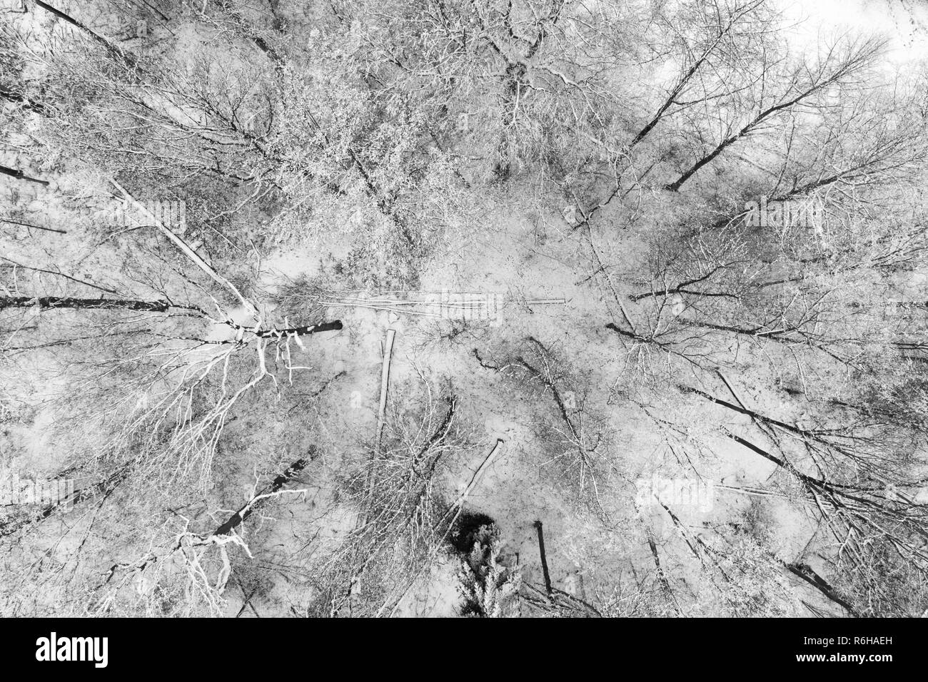 Winter landscape snow trees aerial Black and White Stock Photos ...
