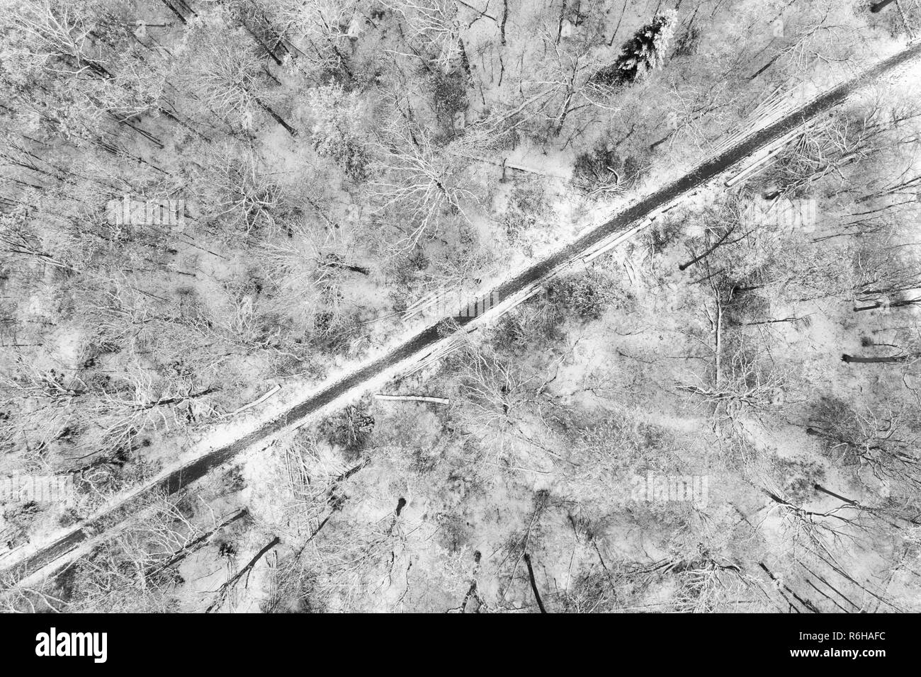 Birds branch winter Black and White Stock Photos & Images - Alamy