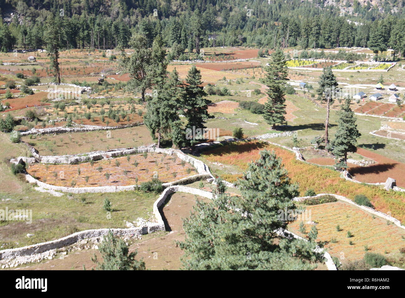 Kinnaur, Himachal Pradesh, India Stock Photo - Alamy