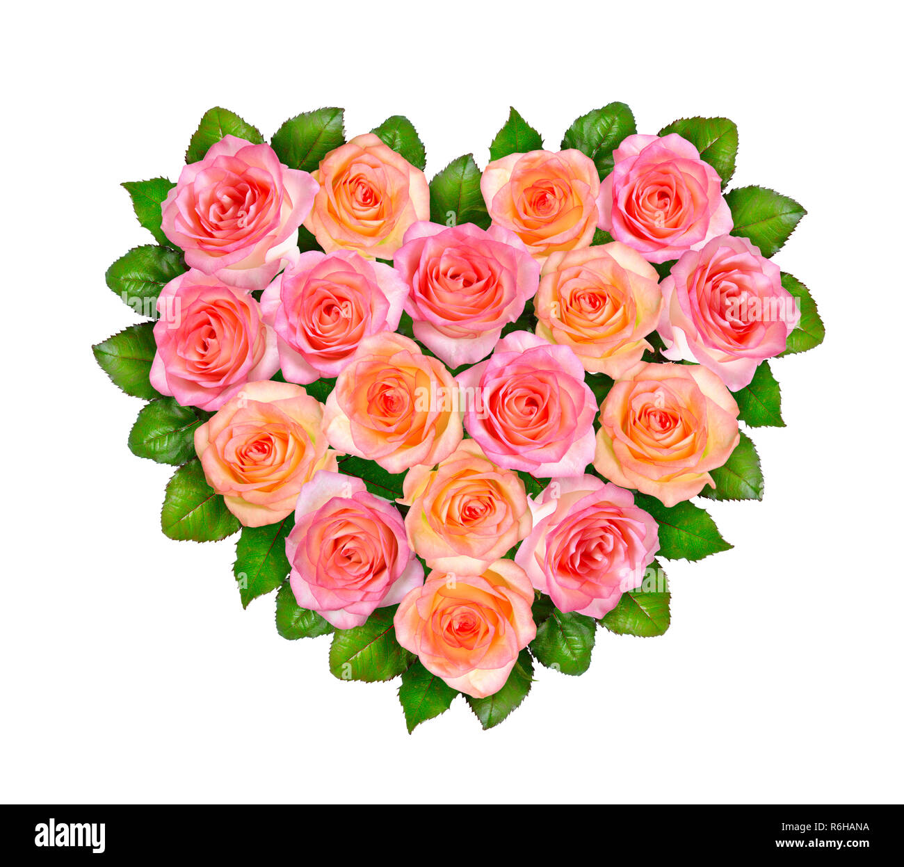 Heart of pink roses. Isolated on white background Stock Photo - Alamy
