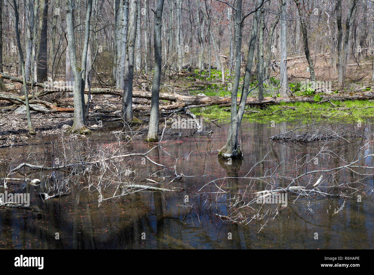 Kennedy dells county park hi-res stock photography and images - Alamy
