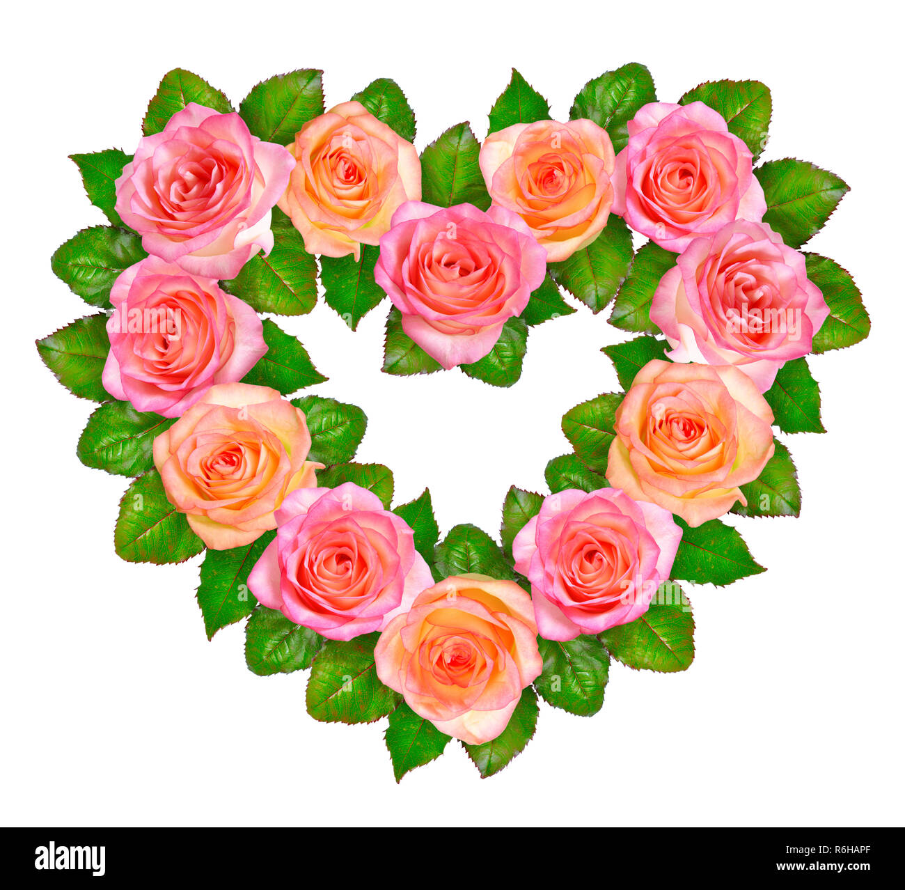 Heart of pink roses. Isolated on white background Stock Photo - Alamy