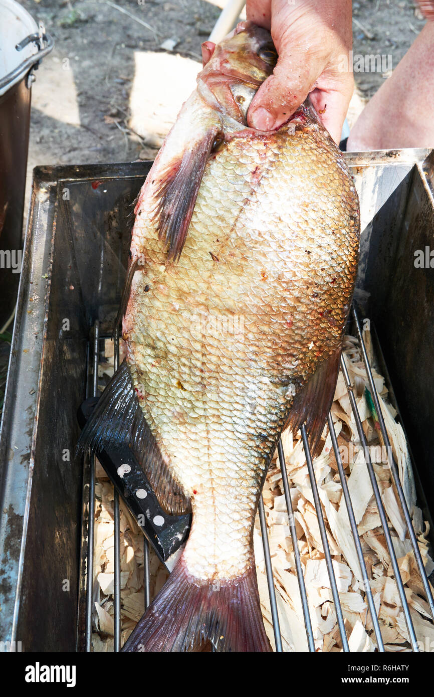 Prepared bream fish for hot food smoked in hand fisher Stock Photo - Alamy