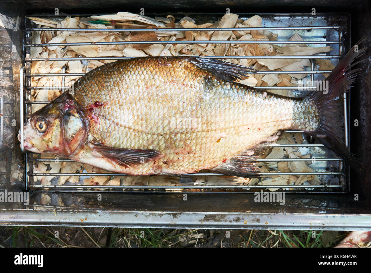 Fish bream on a lattice in metal smokehouse Stock Photo - Alamy